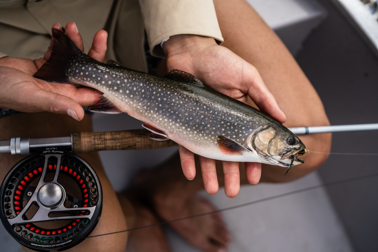 Pêche - truite - Association Pourvoiries Mauricie